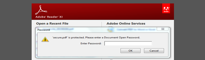 Secure Pdf