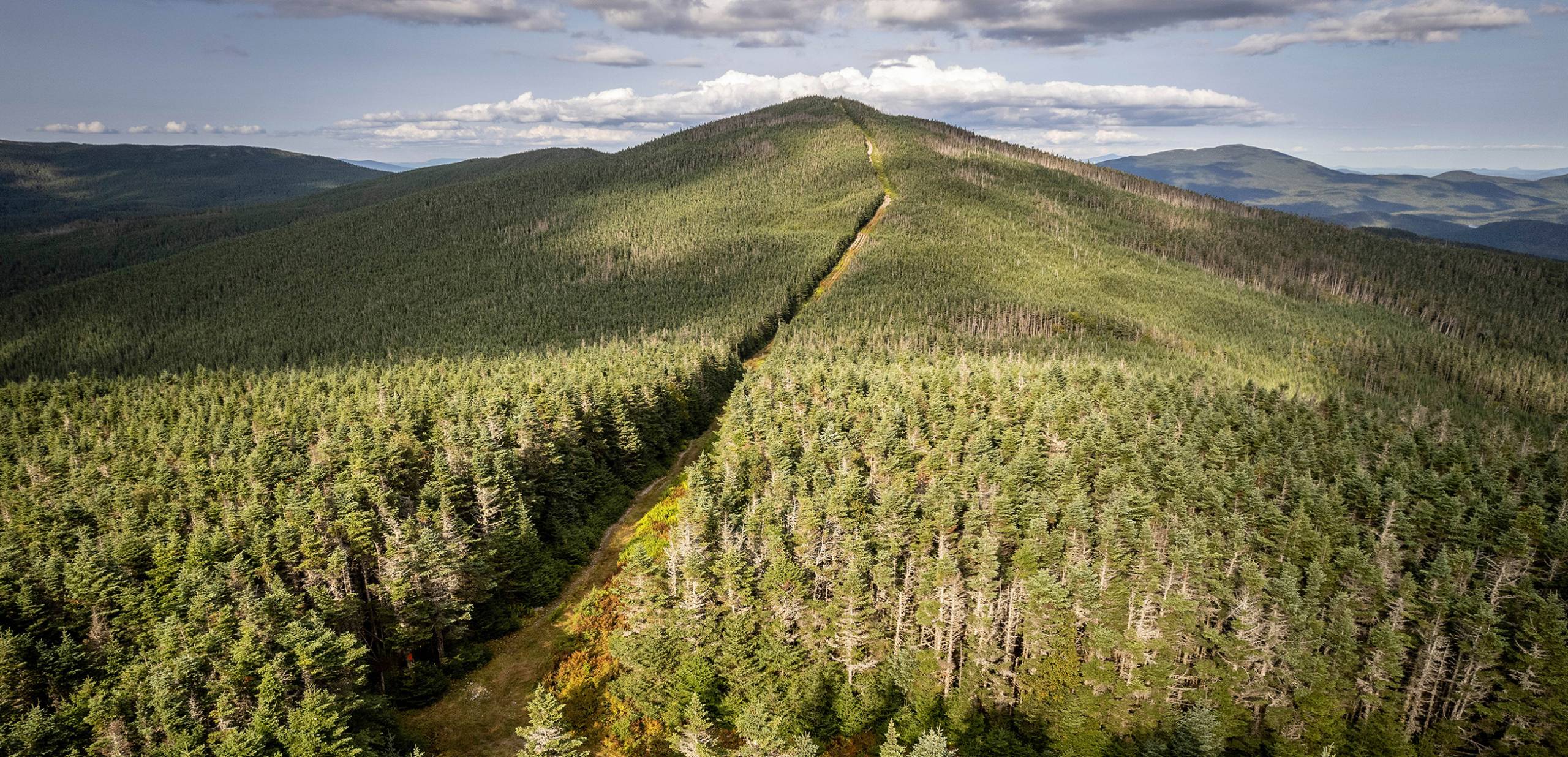 Turning the Tables: How Canada can shake off the U.S. softwood lumber ...