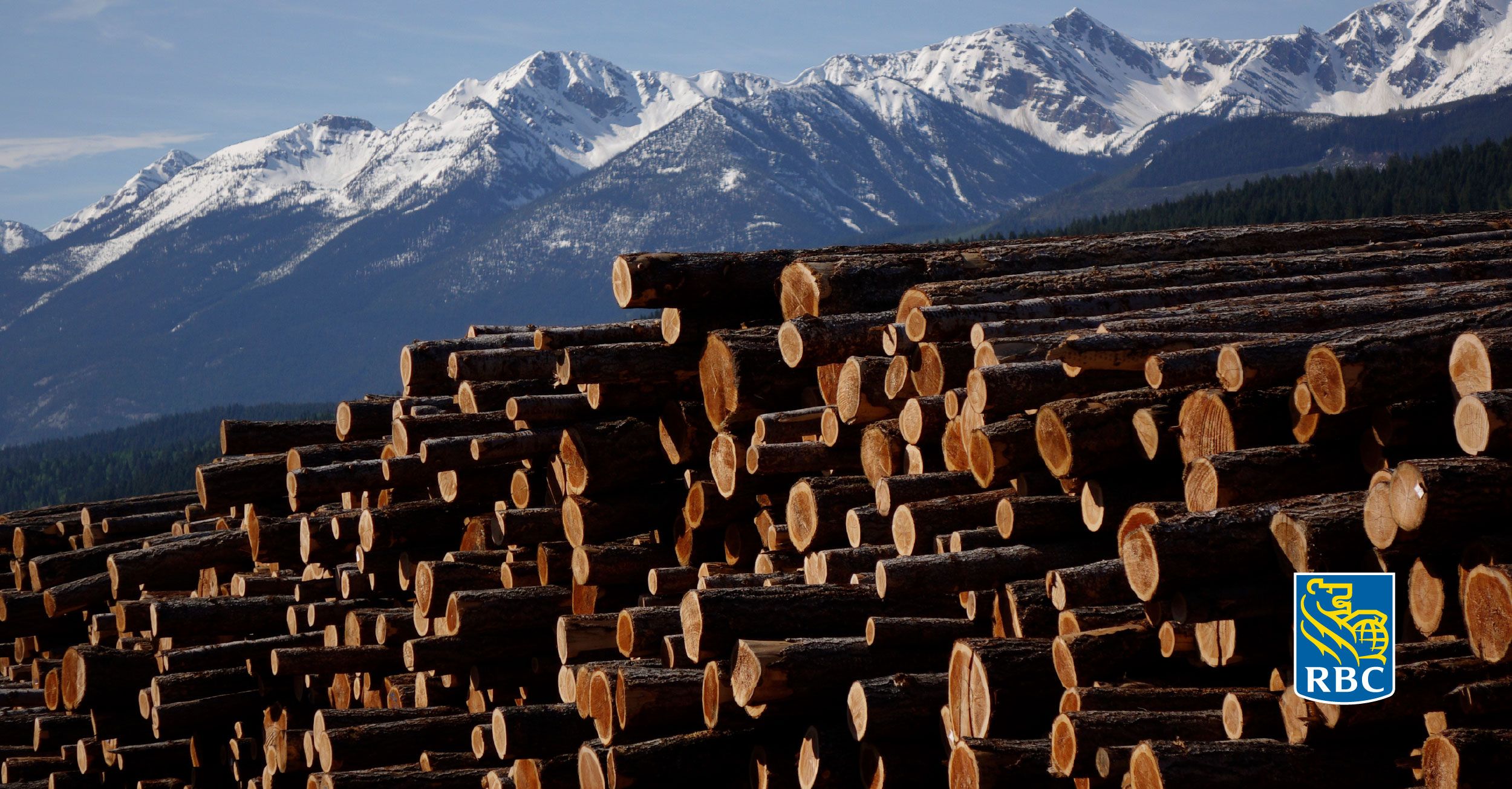 Climate Crunch: A thousand cuts: Why B.C.’s lumber crisis is also a ...