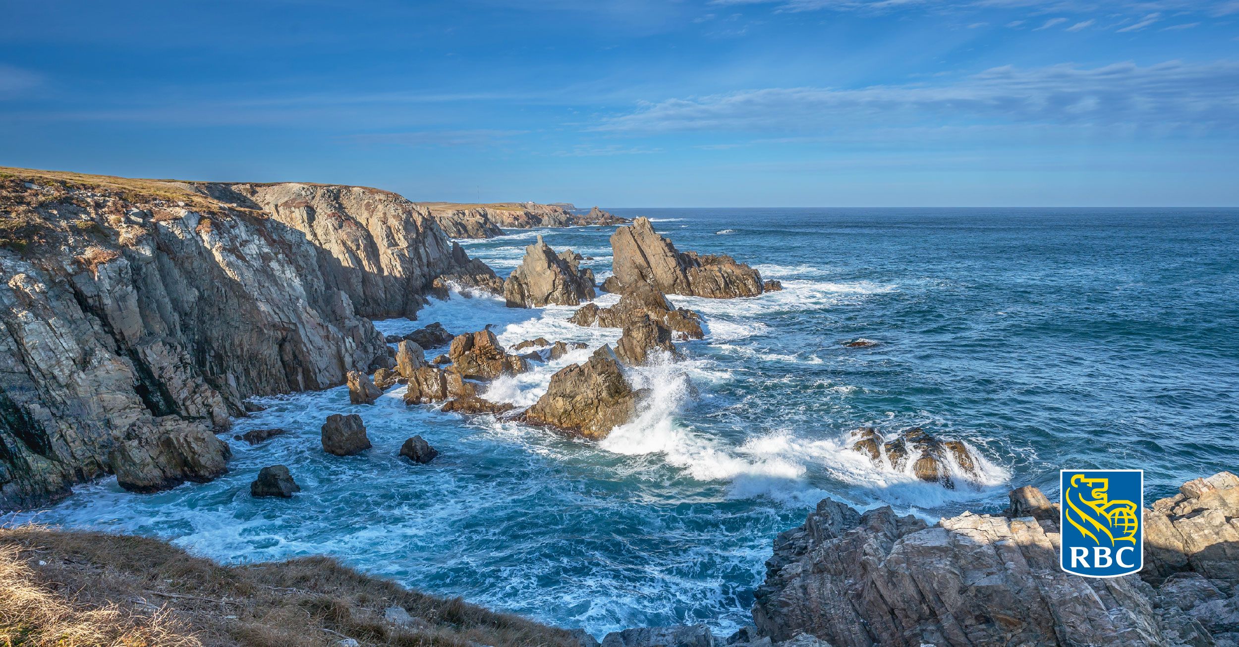 Climate Crunch: Can wind power up in Newfoundland and Labrador? - RBC