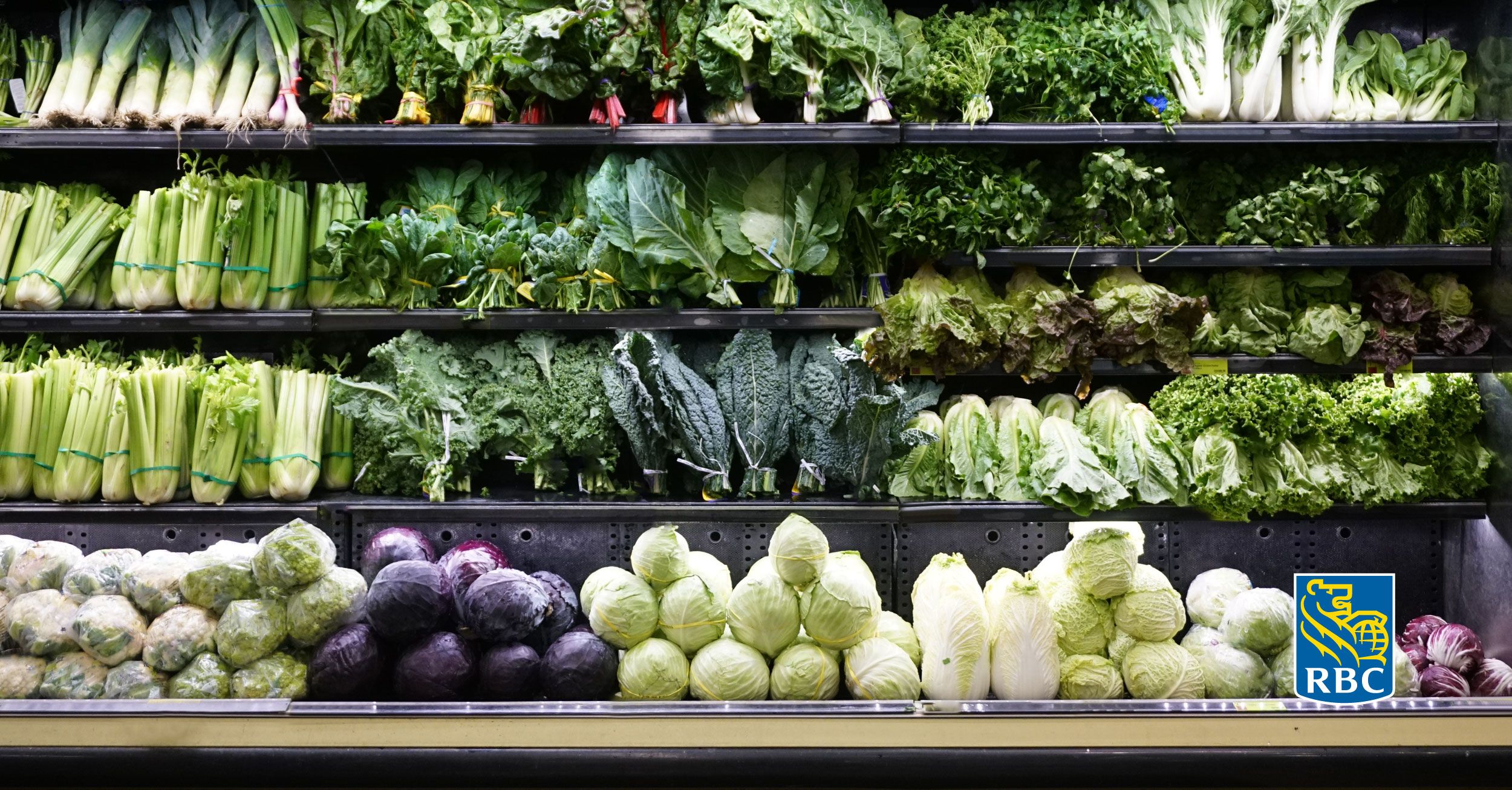 Trade Zone: A perfect storm rippling across the world's food supply ...
